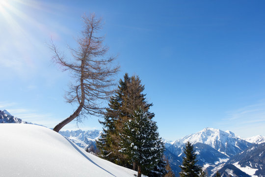 "Krummer Images – Parcourir 112 le catalogue de photos, vecteurs et ...