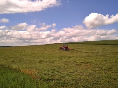 Heufeld Bilder – Durchsuchen 124 Archivfotos, Vektorgrafiken und Videos ...