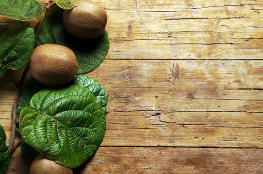 Quiuí Bilder – Durchsuchen 19 Archivfotos, Vektorgrafiken und Videos ...