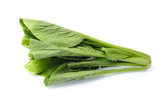 Imágenes de Choy: descubre bancos de fotos, ilustraciones, vectores y ...