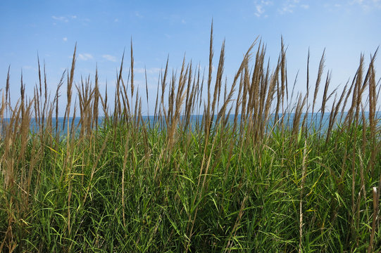 Canneto Immagini - Sfoglia 3,007 foto, vettoriali e video Stock | Adobe ...