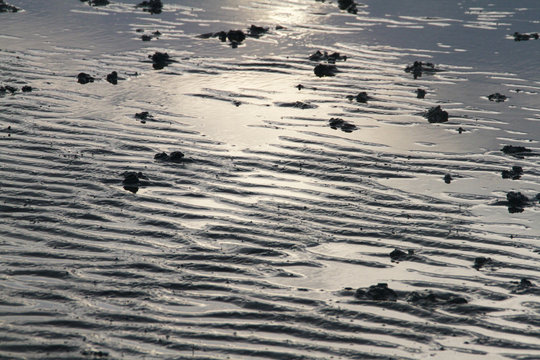 Sandwatt bilder – Bläddra bland 174 stockfoton, vektorer och videor ...