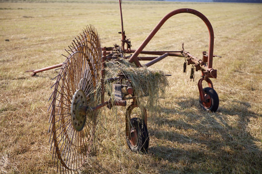 「Heuwender」の写真素材 | 398件の無料イラスト画像 | Adobe Stock