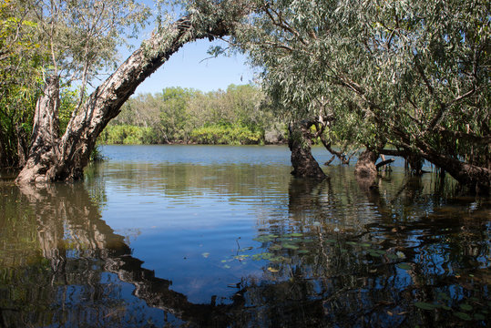 รูปภาพBillabong – เลือกดูภาพถ่ายสต็อก เวกเตอร์ และวิดีโอ3,151 | Adobe Stock