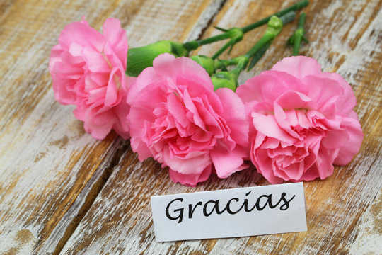 Gracias Images – Browse 4,349 Stock Photos, Vectors, and Video | Adobe ...