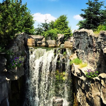 Gelse Bilder – Durchsuchen 572 Archivfotos, Vektorgrafiken und Videos ...