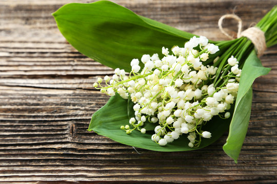 รูปภาพConvallaria – เลือกดูภาพถ่ายสต็อก เวกเตอร์ และวิดีโอ16,235 ...