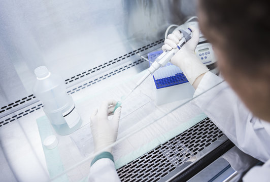Pcr bilder – Bläddra bland 22,756 stockfoton, vektorer och videor ...