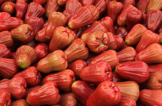 Afbeeldingen over "Java Apple" – Blader in stockfoto's, vectoren en ...