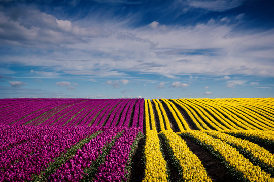 รูปภาพReihen – เลือกดูภาพถ่ายสต็อก เวกเตอร์ และวิดีโอ7,886 | Adobe Stock