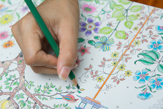 "Coloring Books" Images – Browse 449,645 Stock Photos, Vectors, and ...