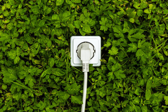 Biostrom Bilder – Durchsuchen 1,146 Archivfotos, Vektorgrafiken und ...