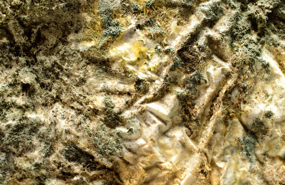 Unhygenic Images – Browse 188 Stock Photos, Vectors, and Video | Adobe ...