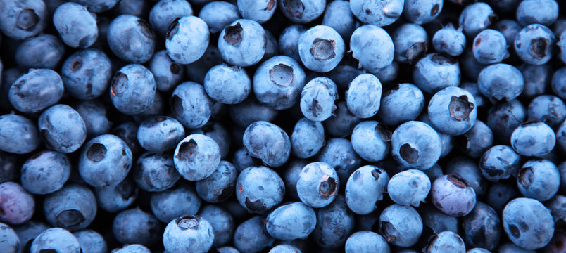 Wimberry bilder – Bläddra bland 141,015 stockfoton, vektorer och videor ...