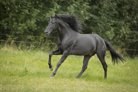 2,752 BESTE Rappe BILDER, STOCK-FOTOS & -VEKTORGRAFIKEN | Adobe Stock