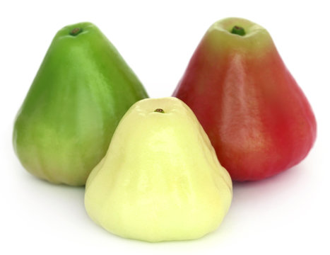 รูปภาพMakopa – เลือกดูภาพถ่ายสต็อก เวกเตอร์ และวิดีโอ2,268 | Adobe Stock