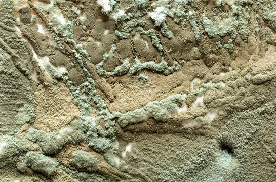 Unhygenic Images – Browse 188 Stock Photos, Vectors, and Video | Adobe ...