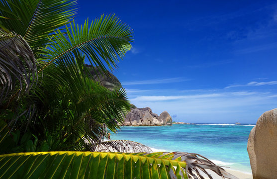 Paradisiaques Images – Parcourir 242 le catalogue de photos, vecteurs ...