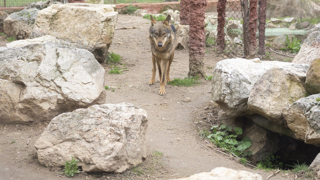 Ocico Bilder – Durchsuchen 66 Archivfotos, Vektorgrafiken und Videos ...