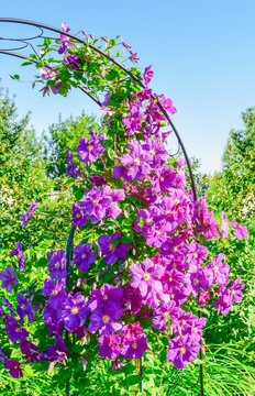 Klimatis Images – Browse 53 Stock Photos, Vectors, and Video | Adobe Stock