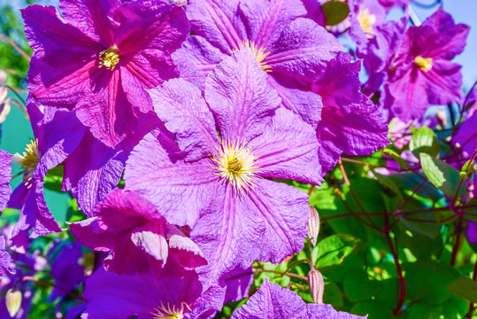 Klimatis Images – Browse 54 Stock Photos, Vectors, and Video | Adobe Stock