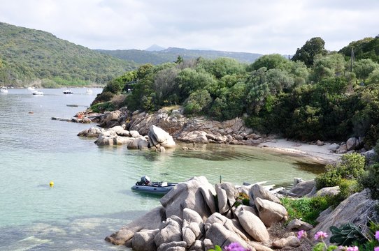 Tizzano Images – Browse 160 Stock Photos, Vectors, and Video | Adobe Stock