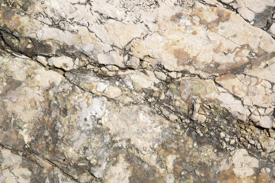 "Pelle Ruvida" Bilder – Durchsuchen 48 Archivfotos, Vektorgrafiken und ...