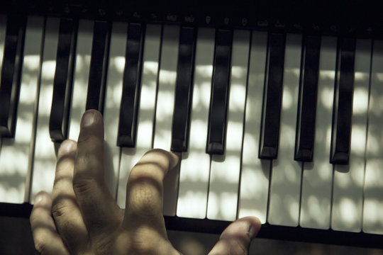 Claviola Images – Browse 2 Stock Photos, Vectors, and Video | Adobe Stock