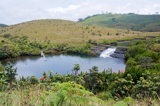 Lokanthaya Images – Browse 5 Stock Photos, Vectors, and Video | Adobe Stock