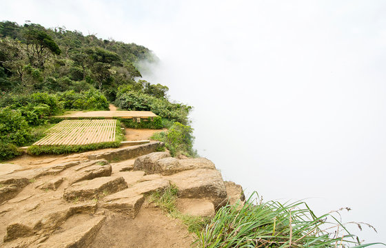 Lokanthaya Images – Browse 5 Stock Photos, Vectors, and Video | Adobe Stock