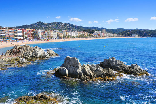 รูปภาพLloret – เลือกดูภาพถ่ายสต็อก เวกเตอร์ และวิดีโอ8,267 | Adobe Stock