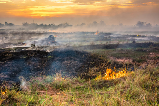 Burnt Field Images – Browse 52,185 Stock Photos, Vectors, and Video ...