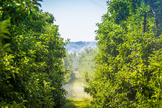 Verdunsten Bilder – Durchsuchen 305,289 Archivfotos, Vektorgrafiken und ...