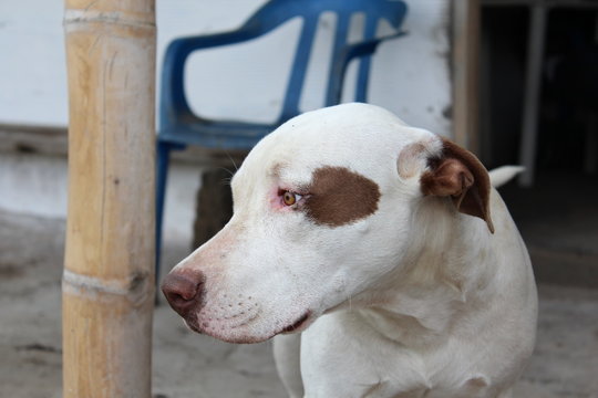 Sumiso Images – Browse 39 Stock Photos, Vectors, and Video | Adobe Stock