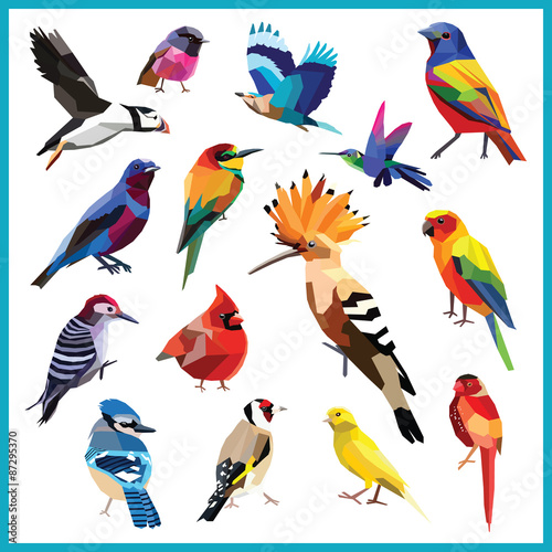 "Birds-set of 15 birds low poly chalkboard design isolated.Bee eater ...