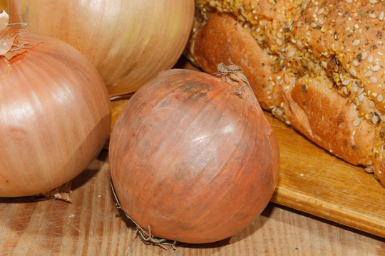 Charlotten Images – Browse 171 Stock Photos, Vectors, and Video | Adobe ...