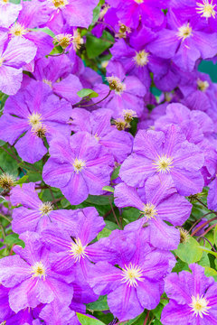 Klimatis Images – Browse 53 Stock Photos, Vectors, and Video | Adobe Stock