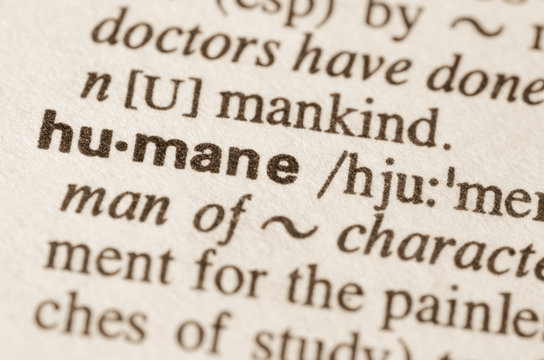 Humane Bilder – Durchsuchen 7,902 Archivfotos, Vektorgrafiken und ...