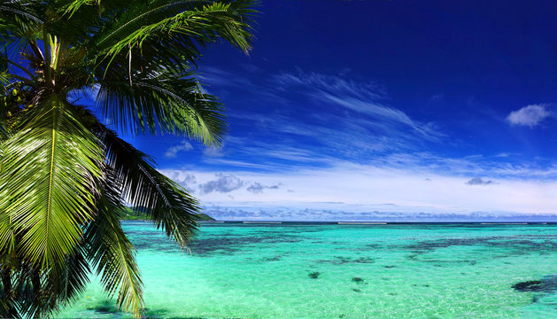 Paradisiaques Billeder – Gennemse 243 stockfotos, vektorer og videoer ...