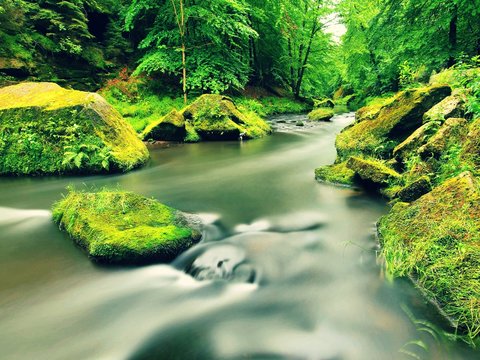 "Rapid Stream" Bilder – Durchsuchen 209 Archivfotos, Vektorgrafiken und ...
