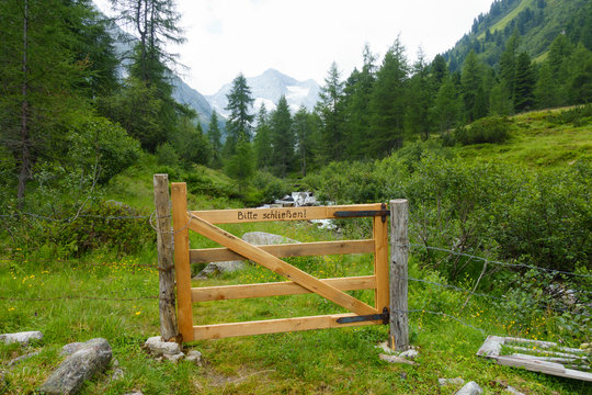 รูปภาพGatter – เลือกดูภาพถ่ายสต็อก เวกเตอร์ และวิดีโอ2,199 | Adobe Stock