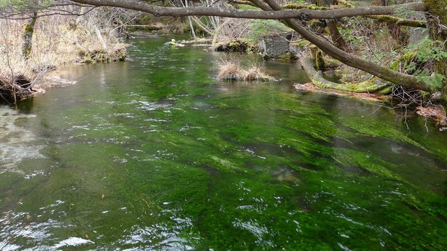"Azusagawa River"-Bilder: Stock-Fotos & -Videos. | Adobe Stock