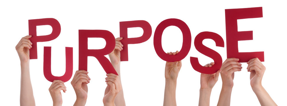 Purpose Images Browse 2 344 644 Stock Photos Vectors And Video