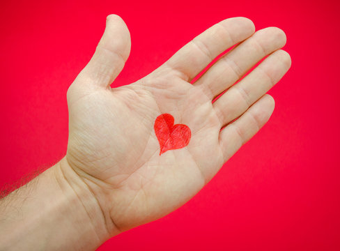 Sensible Images – Browse 14,257 Stock Photos, Vectors, and Video ...