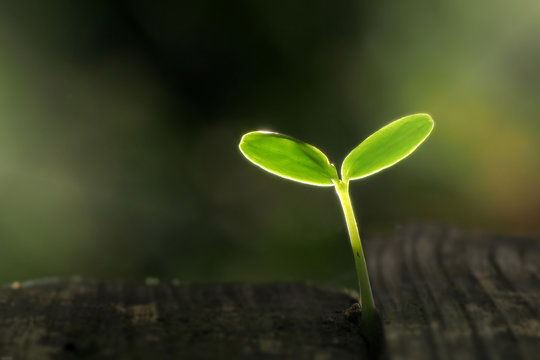 Restart Images – Browse 60,595 Stock Photos, Vectors, and Video | Adobe ...