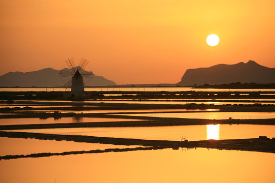 Marsala bilder – Bläddra bland 25,413 stockfoton, vektorer och videor ...