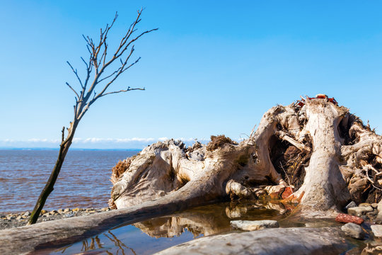 รูปภาพAtlantik – เลือกดูภาพถ่ายสต็อก เวกเตอร์ และวิดีโอ67,489 | Adobe Stock