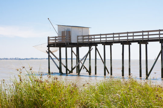 13,951 MEILLEURES Carrelet IMAGES, PHOTOS ET ILLUSTRATIONS VECTORIELLES ...