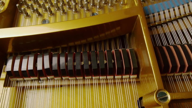 "Piano Strings" Images – Browse 405 Stock Photos, Vectors, and Video ...