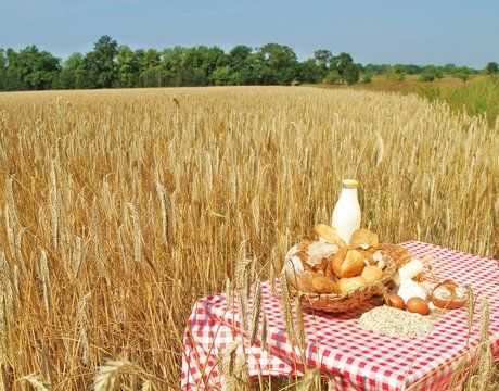 「Erntefest」の画像 - 852 件の Stock 写真、ベクターおよびビデオ | Adobe Stock
